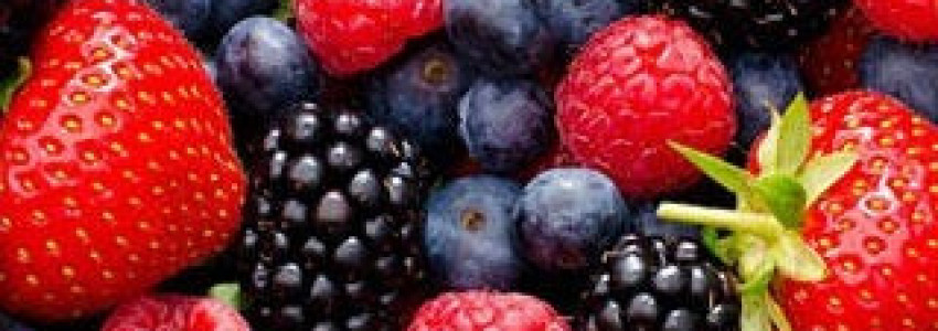 LES FRUITS ROUGES | CHEZ BRIGITTE