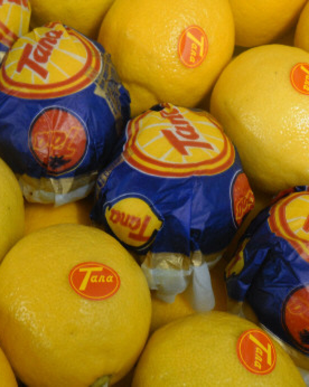 citron jaune | CHEZ BRIGITTE