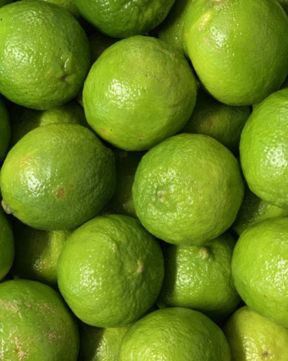 citron vert | CHEZ BRIGITTE