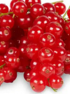 LES FRUITS ROUGES | CHEZ BRIGITTE