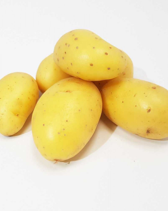 PDT grosse lavée 3kg 3€ | CHEZ BRIGITTE