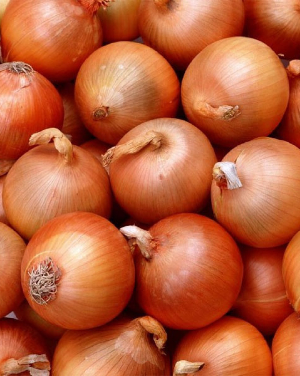 oignon jaune | CHEZ BRIGITTE