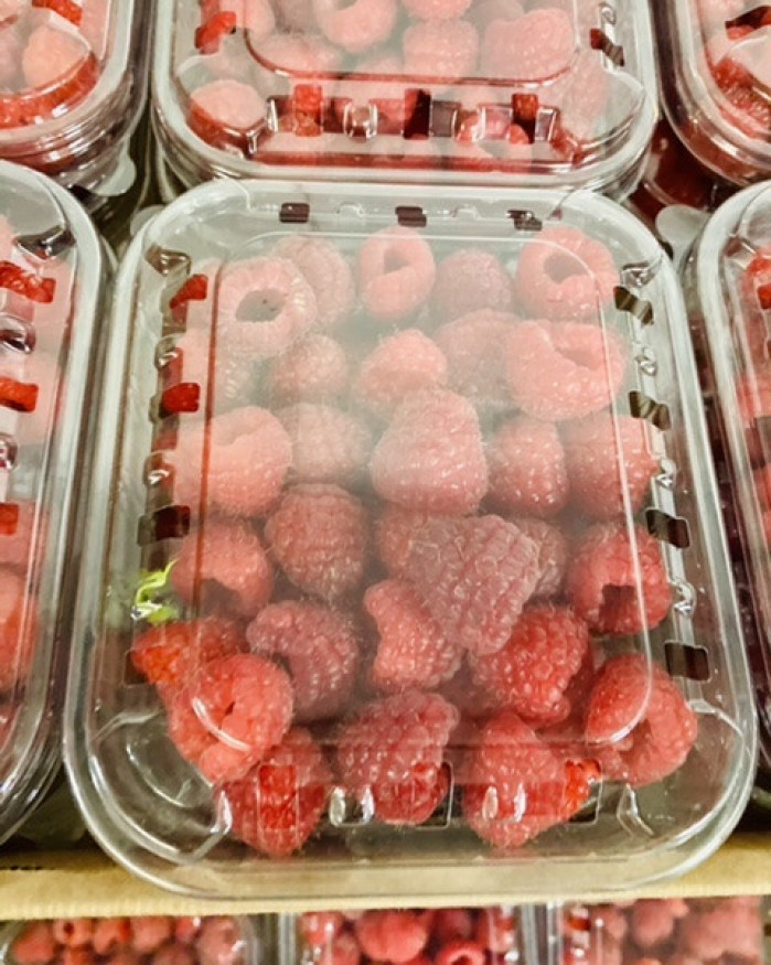 FRAMBOISE 3 barquettes pour 6€ | CHEZ BRIGITTE