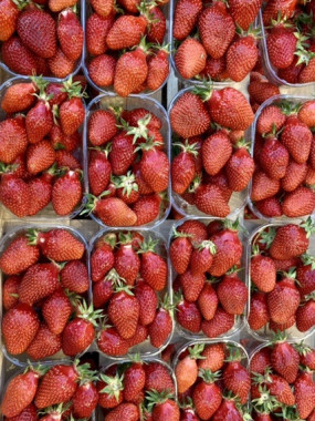 LES FRUITS ROUGES | CHEZ BRIGITTE