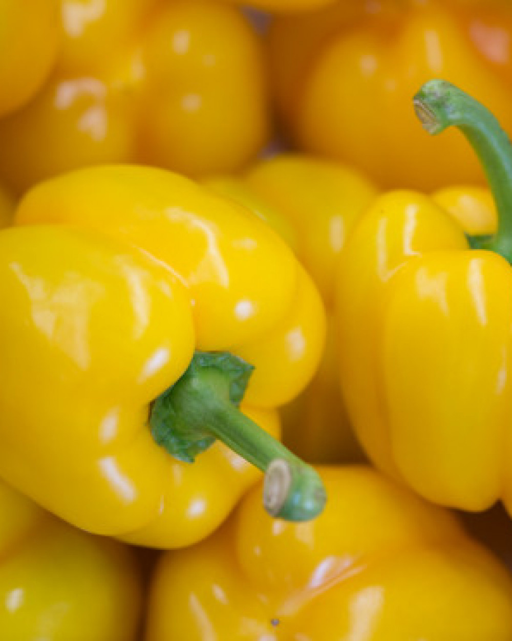 poivron jaune | CHEZ BRIGITTE
