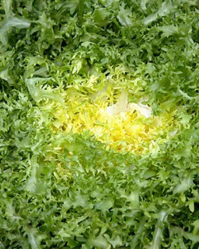 salade frisée fine barquette | CHEZ BRIGITTE