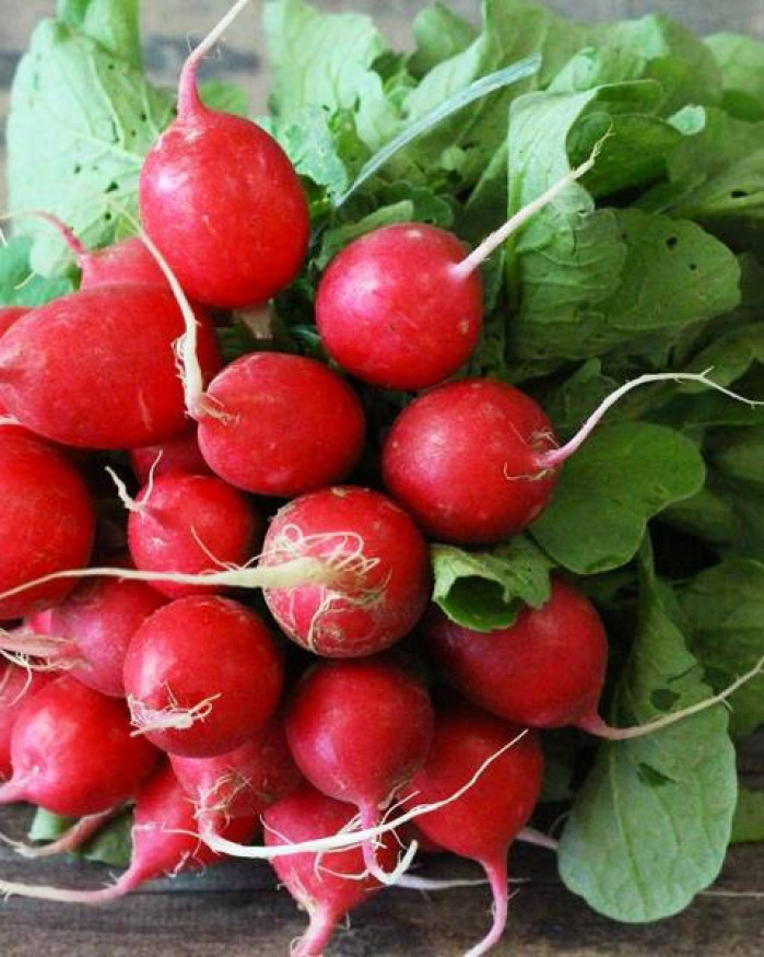 radis rouge | CHEZ BRIGITTE