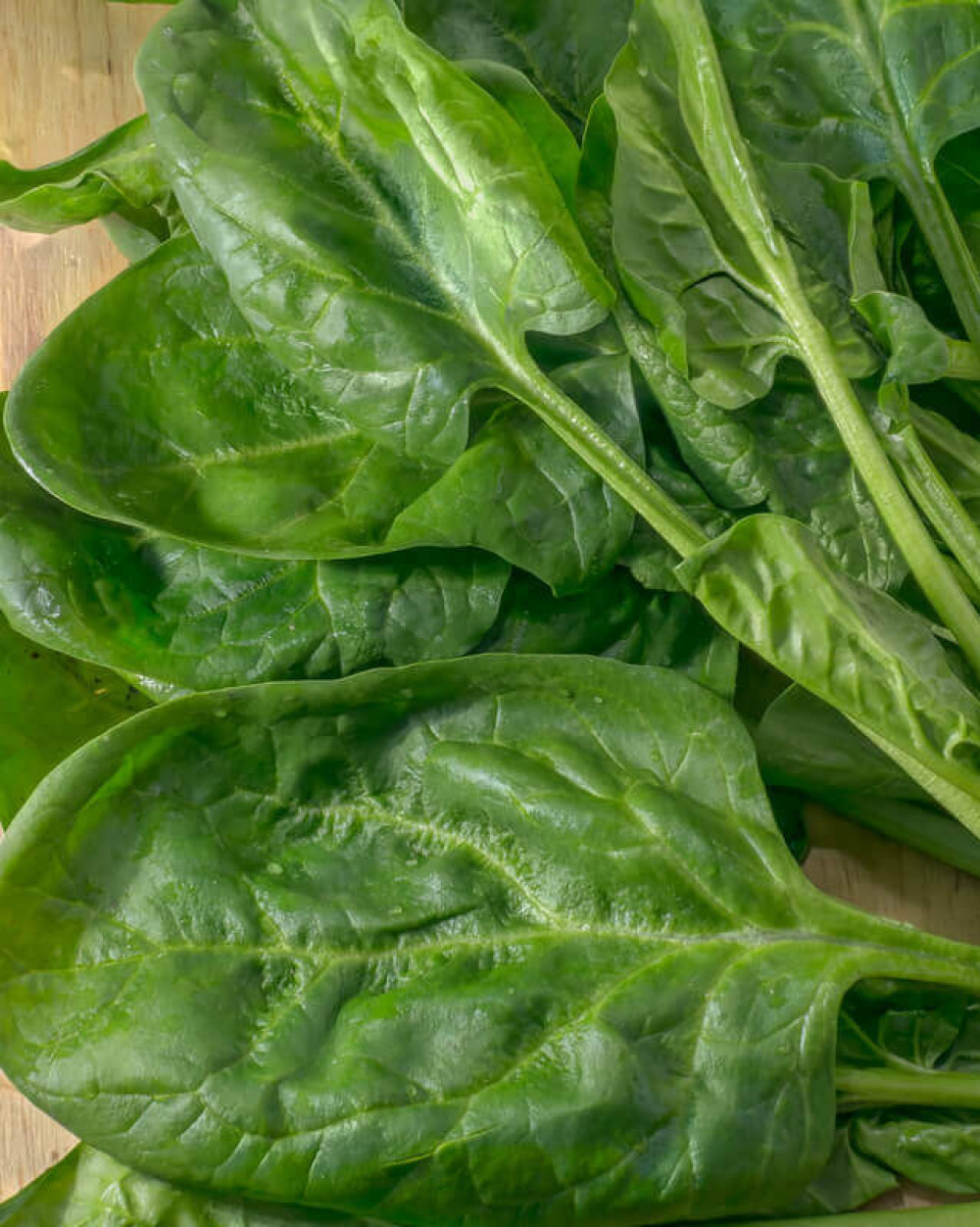 épinard | CHEZ BRIGITTE